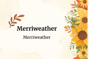 12 Must-Have Sustainable Font Choices In Digital Design Now