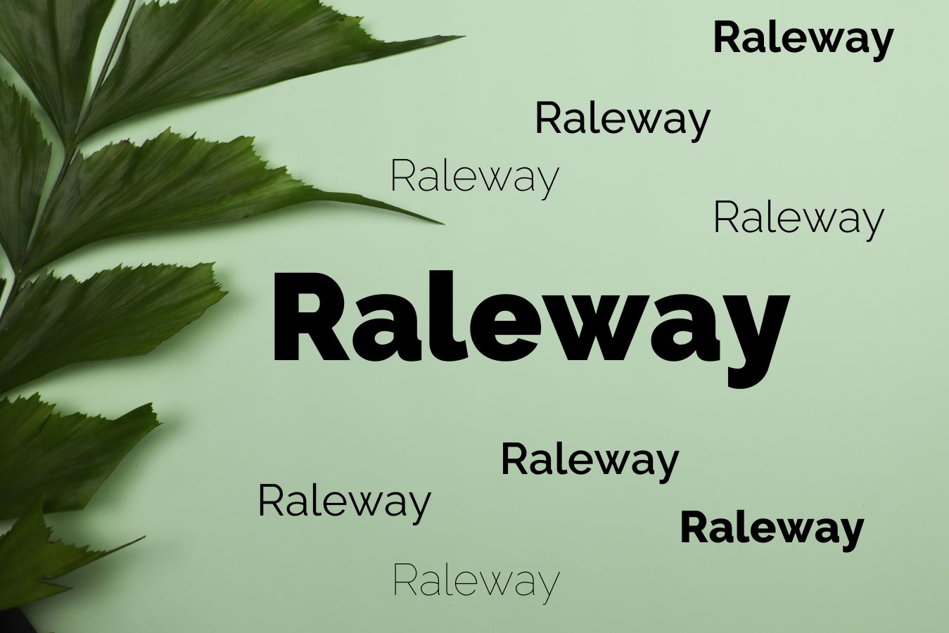 12 Must-Have Sustainable Font Choices In Digital Design Now